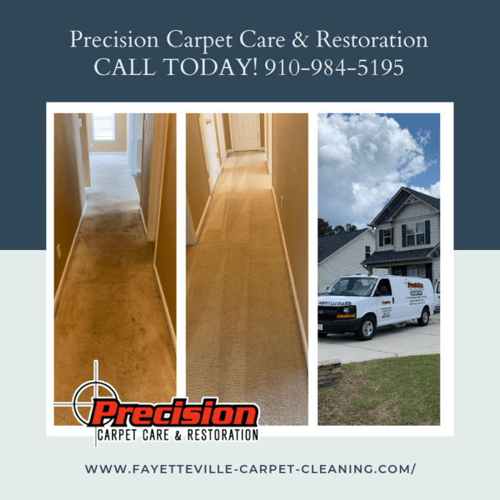 Precision Carpet Care