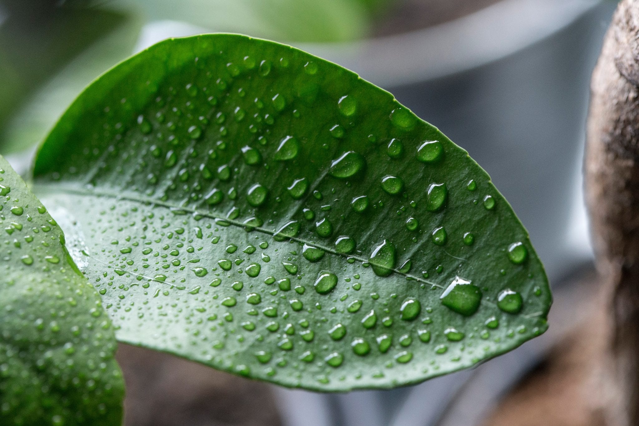 Causes Of High Humidity In Your Home How To Fix It Home Improvement